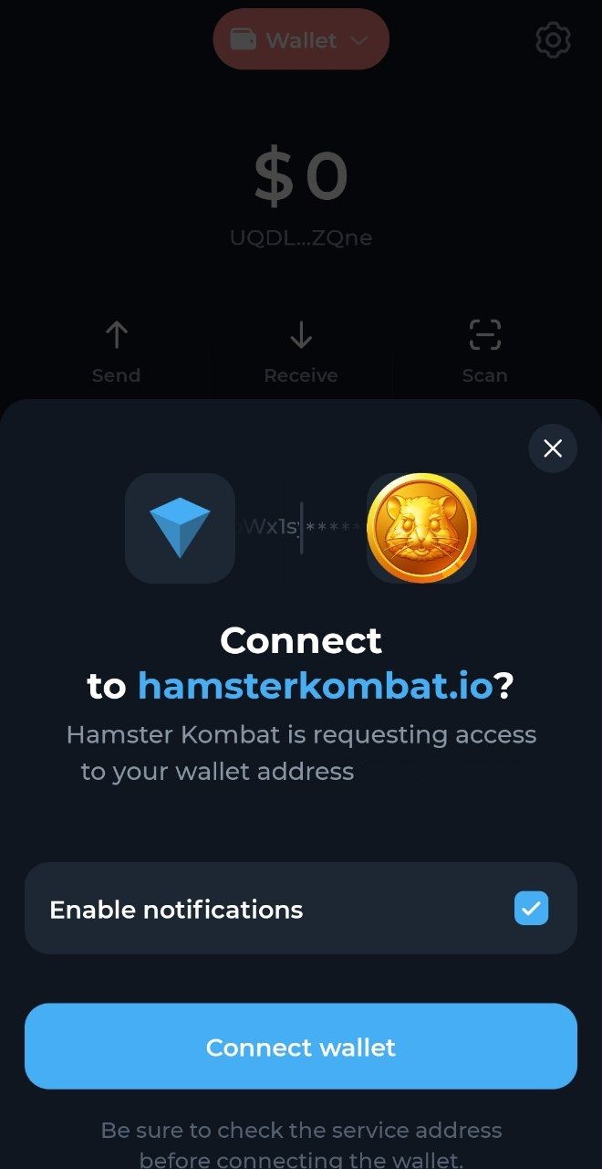 بررسی گام به گام و آموزش وصل کردن همستر به ولت تون‌کیپر - رمزینکس