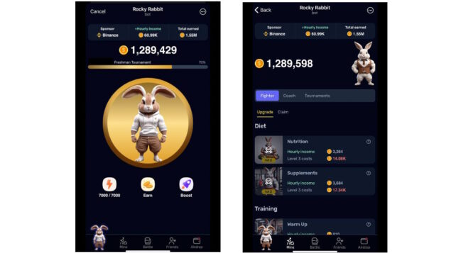 ارز راکی ربیت (Rocky Rabbit) چیست؟ | معرفی + نحوه علملکرد آن